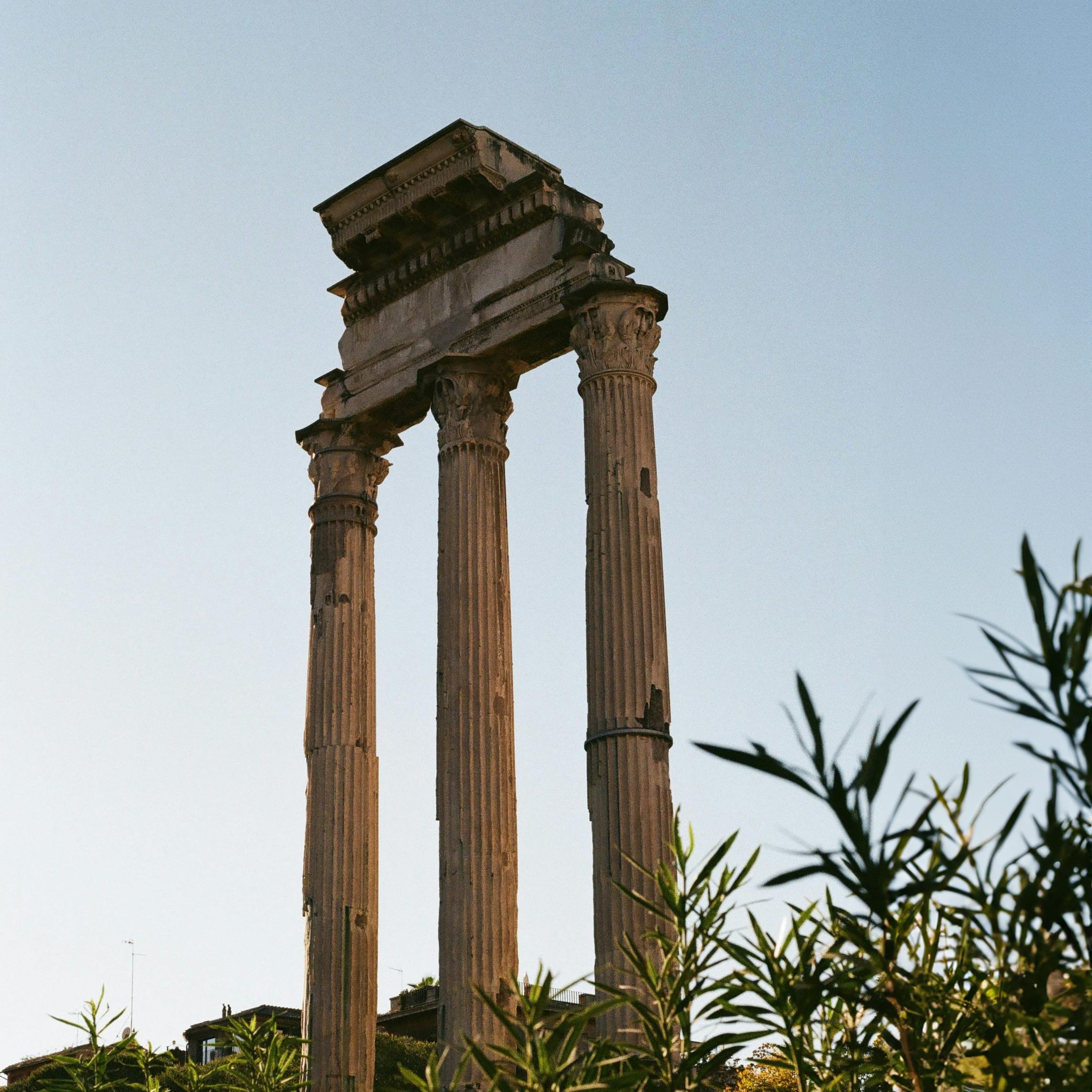 ellexx - Welcome | ellexx