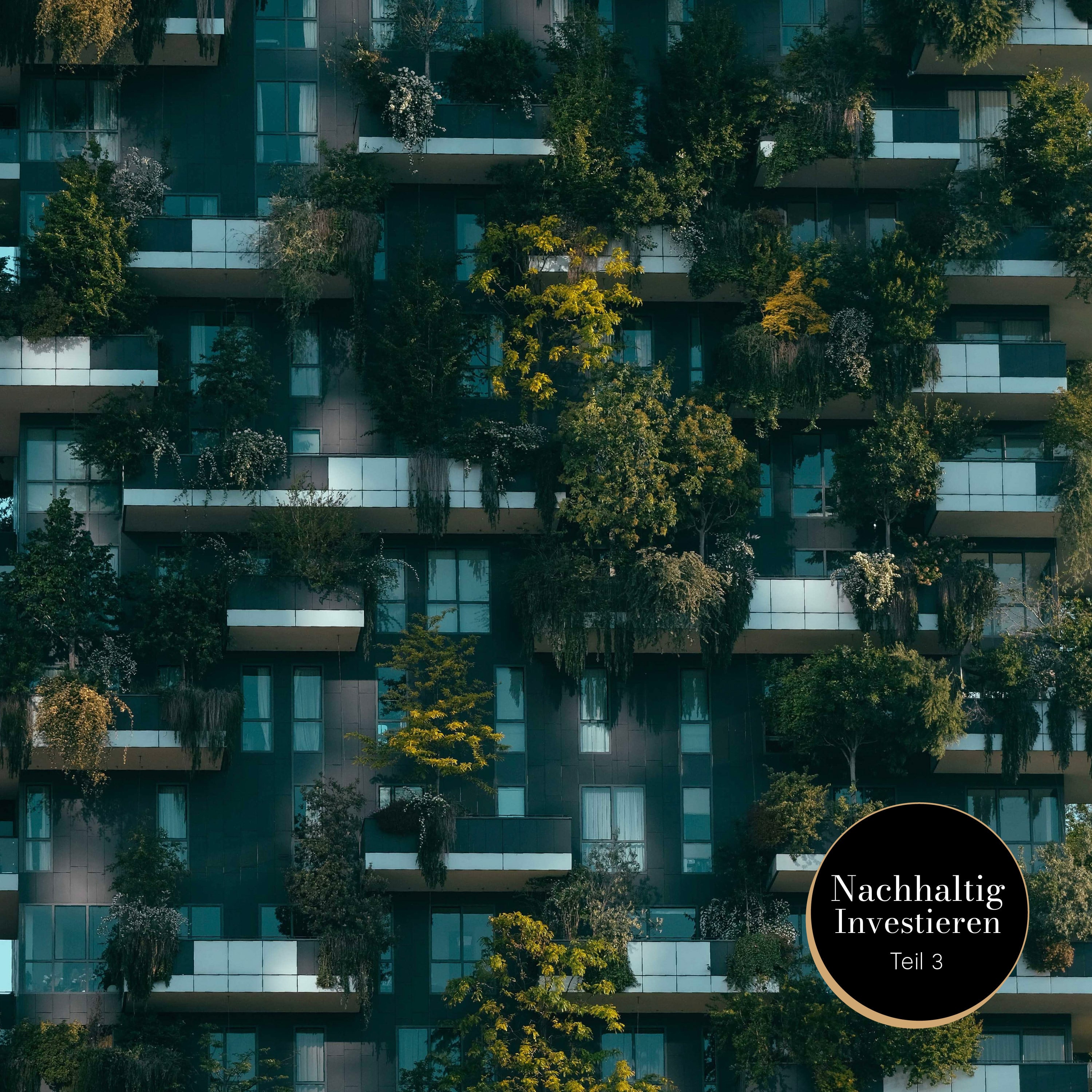 elleXX - Wir bereichern Frauen | elleXX