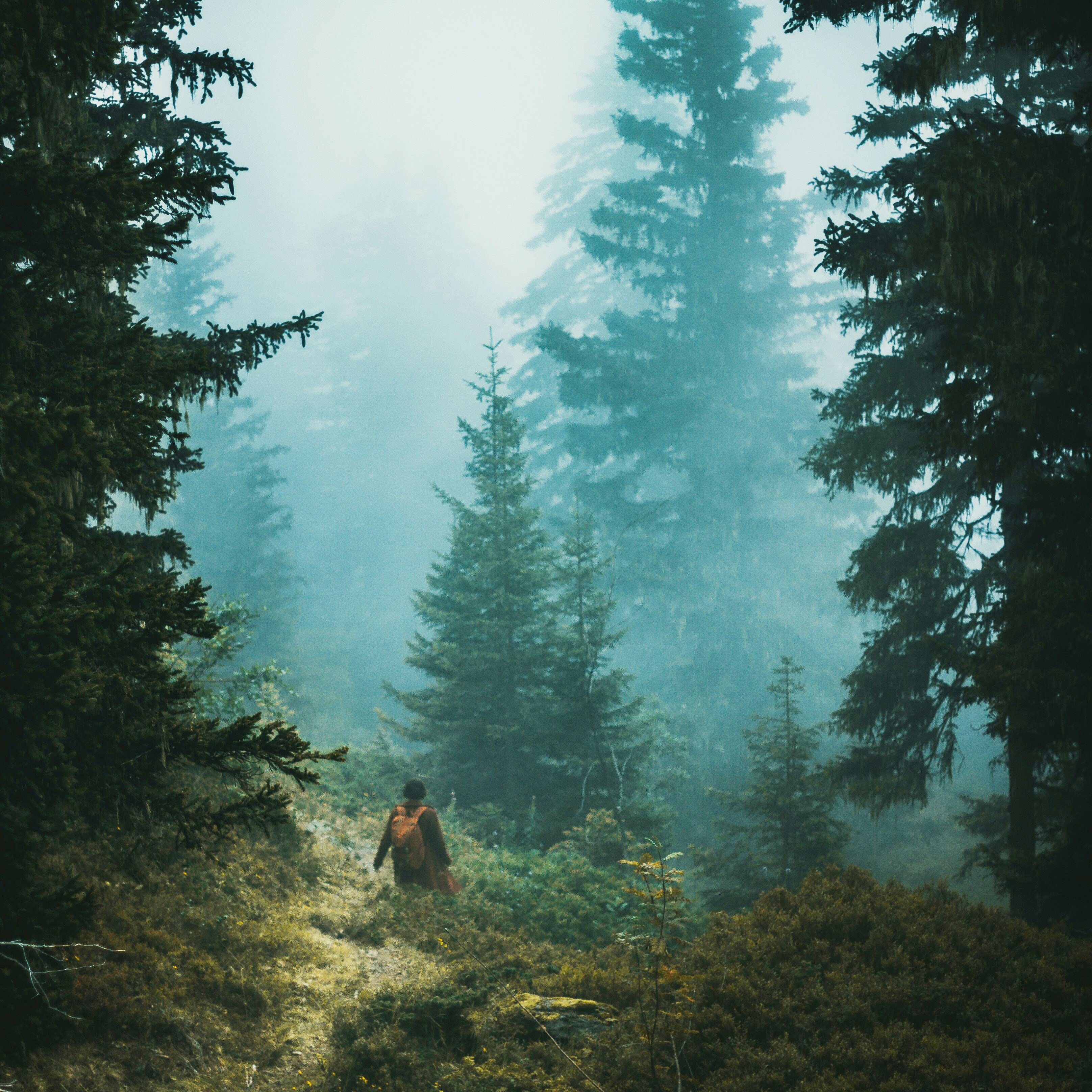 ellexx - Welcome | ellexx